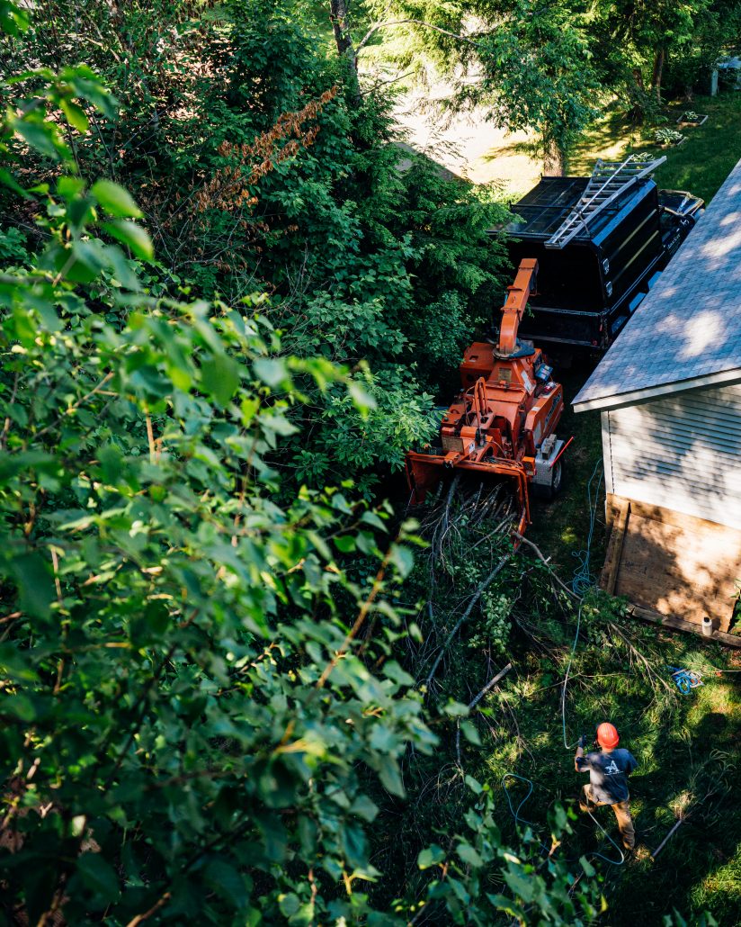 Arborist Photo Gallery - Expert Tree Service, Landscaping, Excavation ...