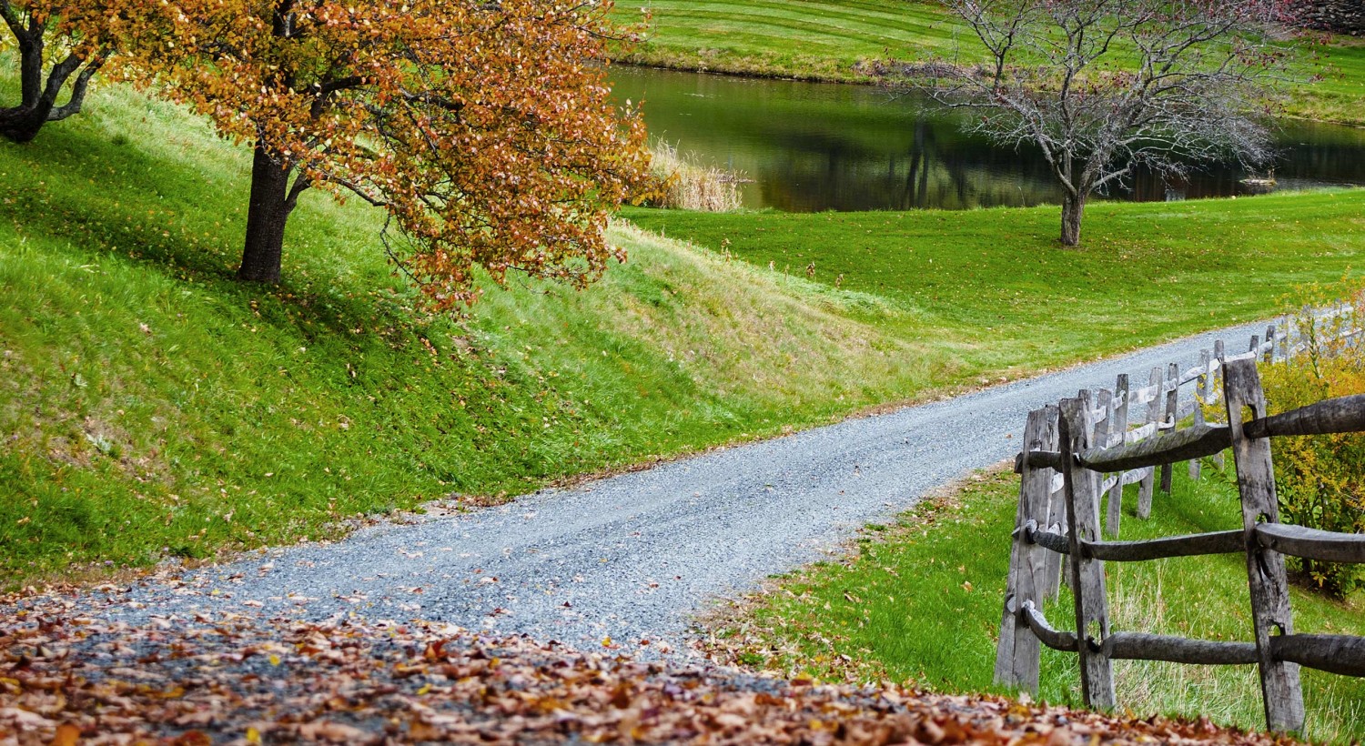 Our Services | ArborScape Inc | Pomfret, Vermont | Tree Service ...