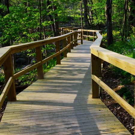 Trail Building | Portfolio Items | ArborScape Inc | Pomfret, Vermont ...